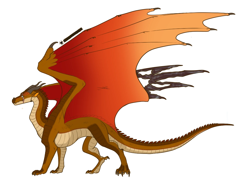 Ask Caldera! | Fandom