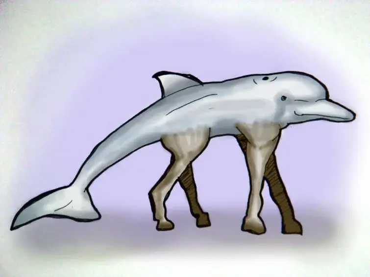 Ungulate Pokémon Tier List | Fandom