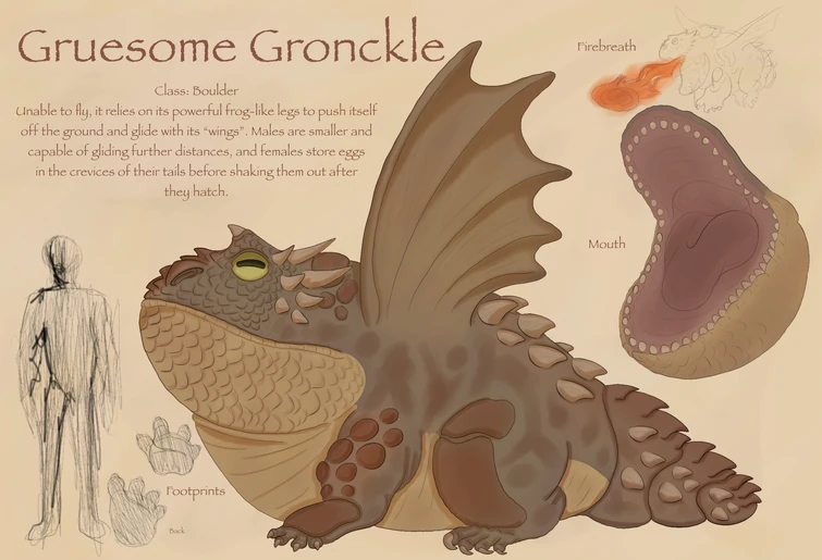 “Realistic” HTTYD Redesigns | Fandom