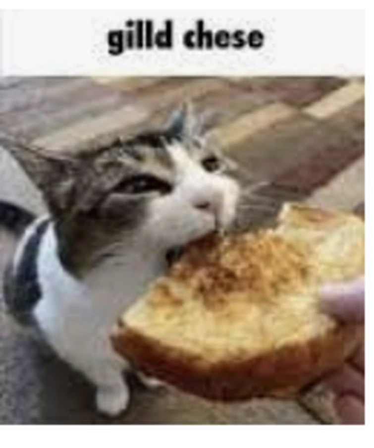 Did you eated da Mac n cheese | Fandom