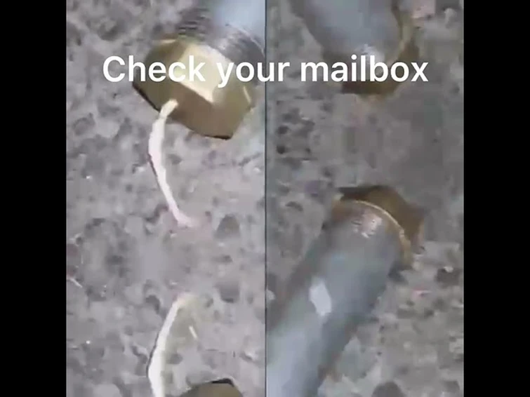 happy new year! | Fandom