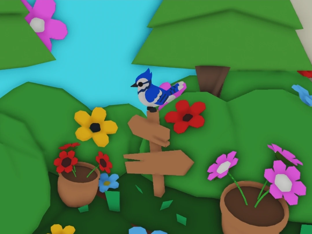 Blue jay pet? | Fandom