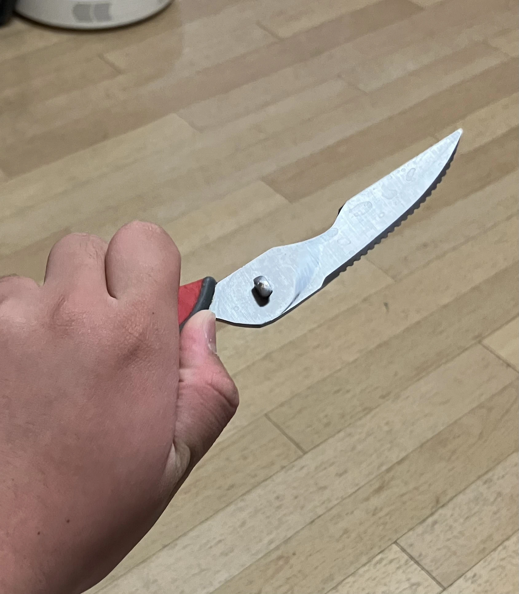 Half a scissor | Fandom