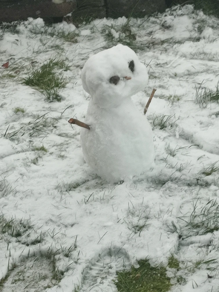 throwback to the time when my friend the uzi iceberg wet tits guy made five snebbles | Fandom