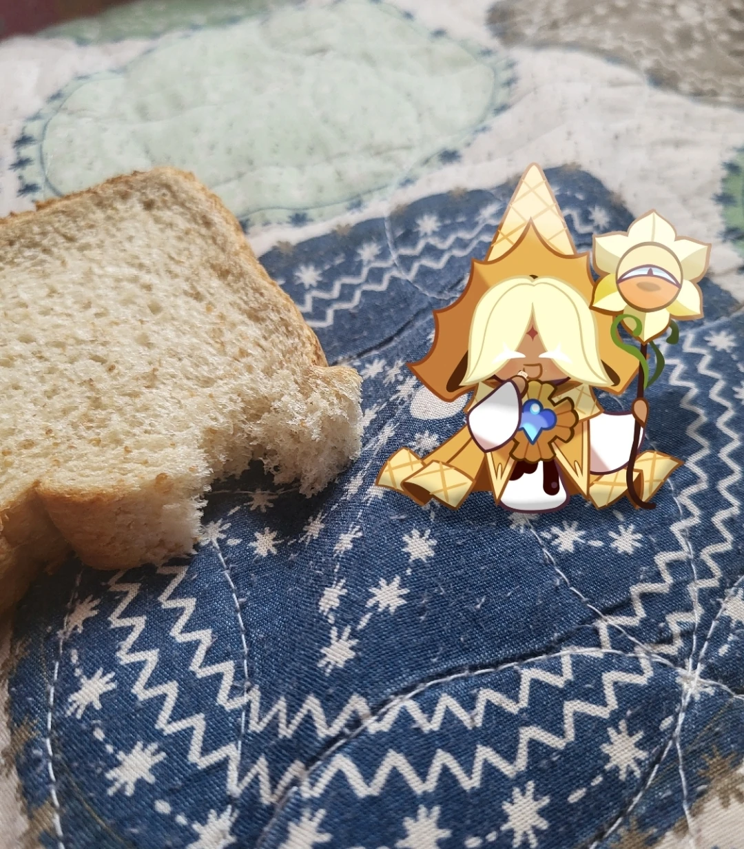 I gave this lil guy some bread | Fandom
