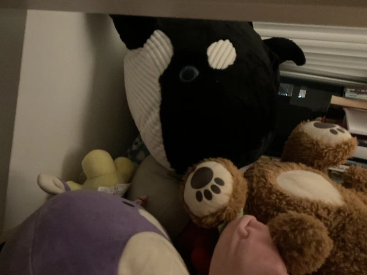 I think I like plushies | Fandom