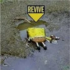 DVN wiki rn | Fandom