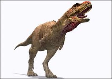 Discuss Everything About Dinopedia | Fandom