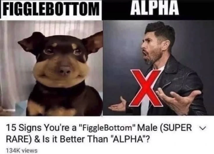 Random posting | Fandom