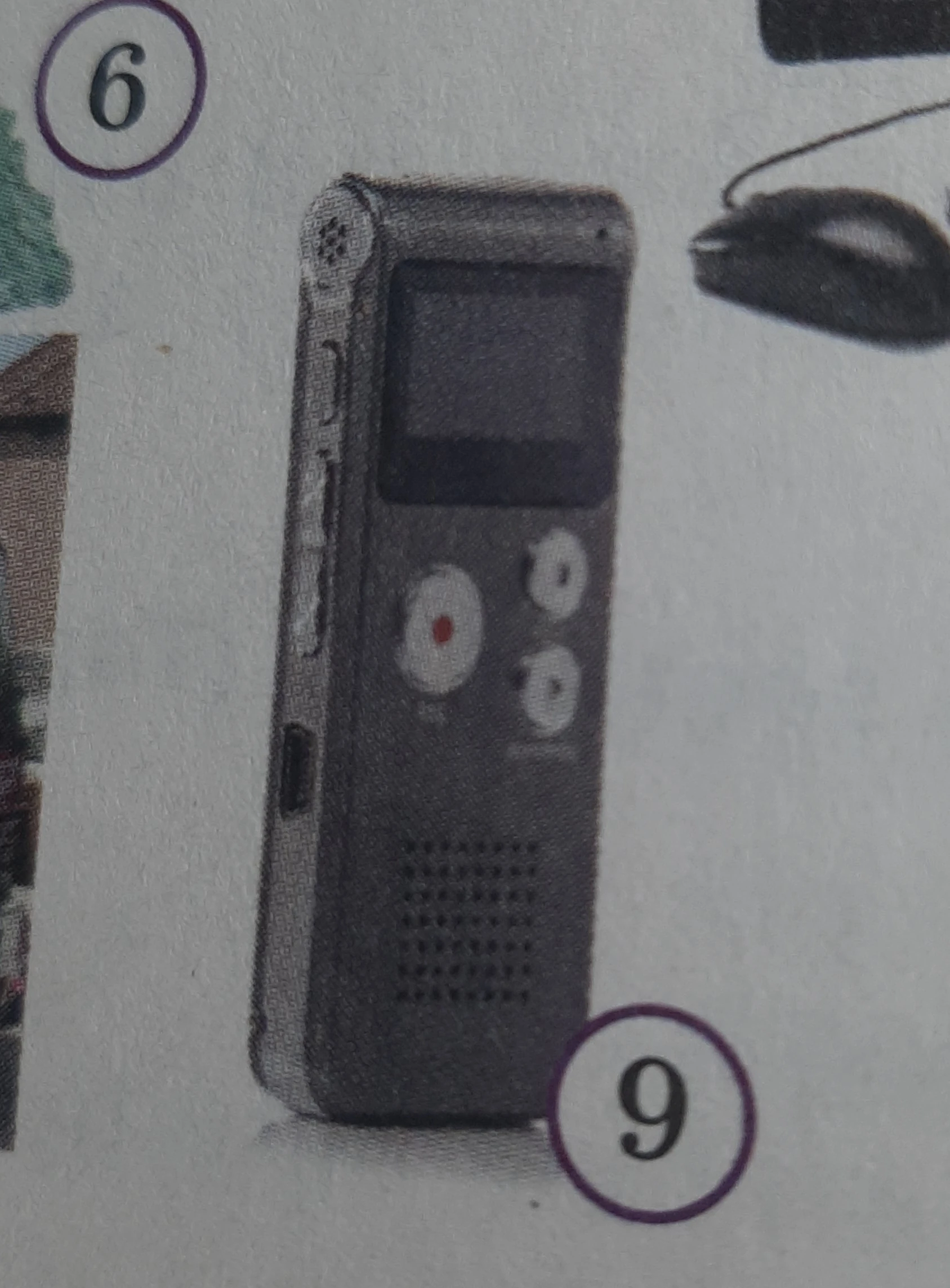 AVA LEDGER FROM HFJONE | Fandom