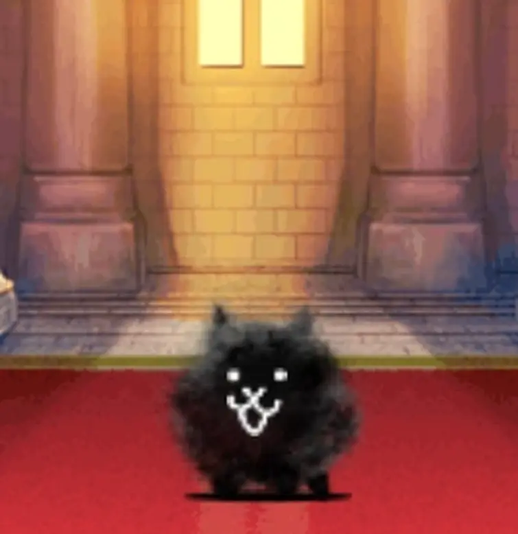 Cat of the Day #143-#148 | Fandom