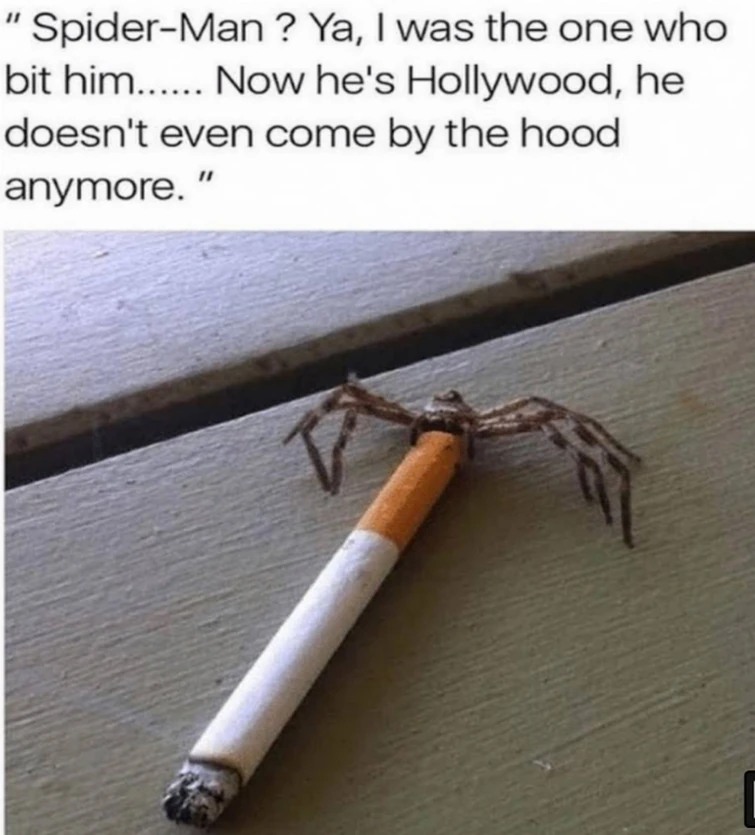 Give me cursed stuff (Memes, images, out of context shit) | Fandom