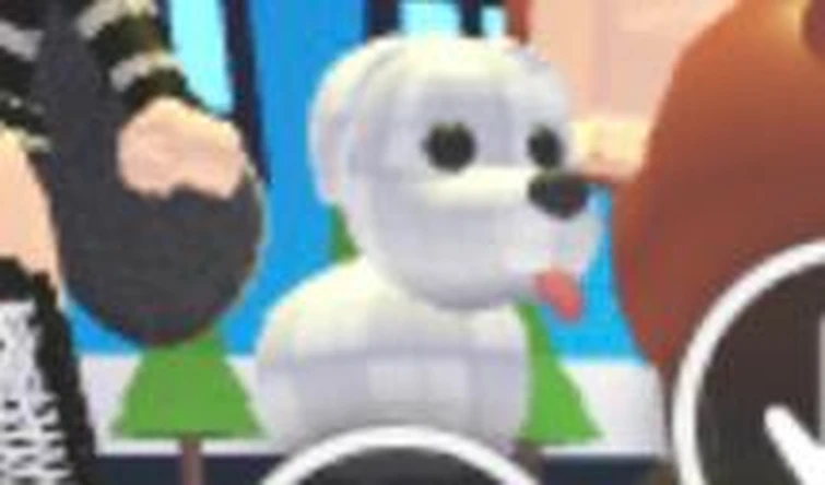 whats a practice dog? | Fandom