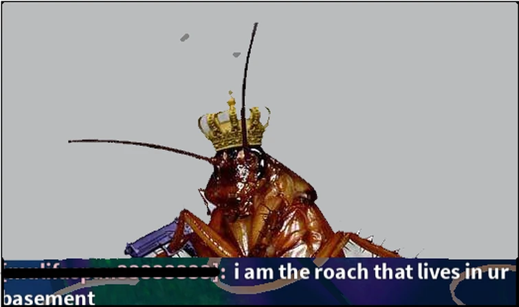 cockroach | Fandom