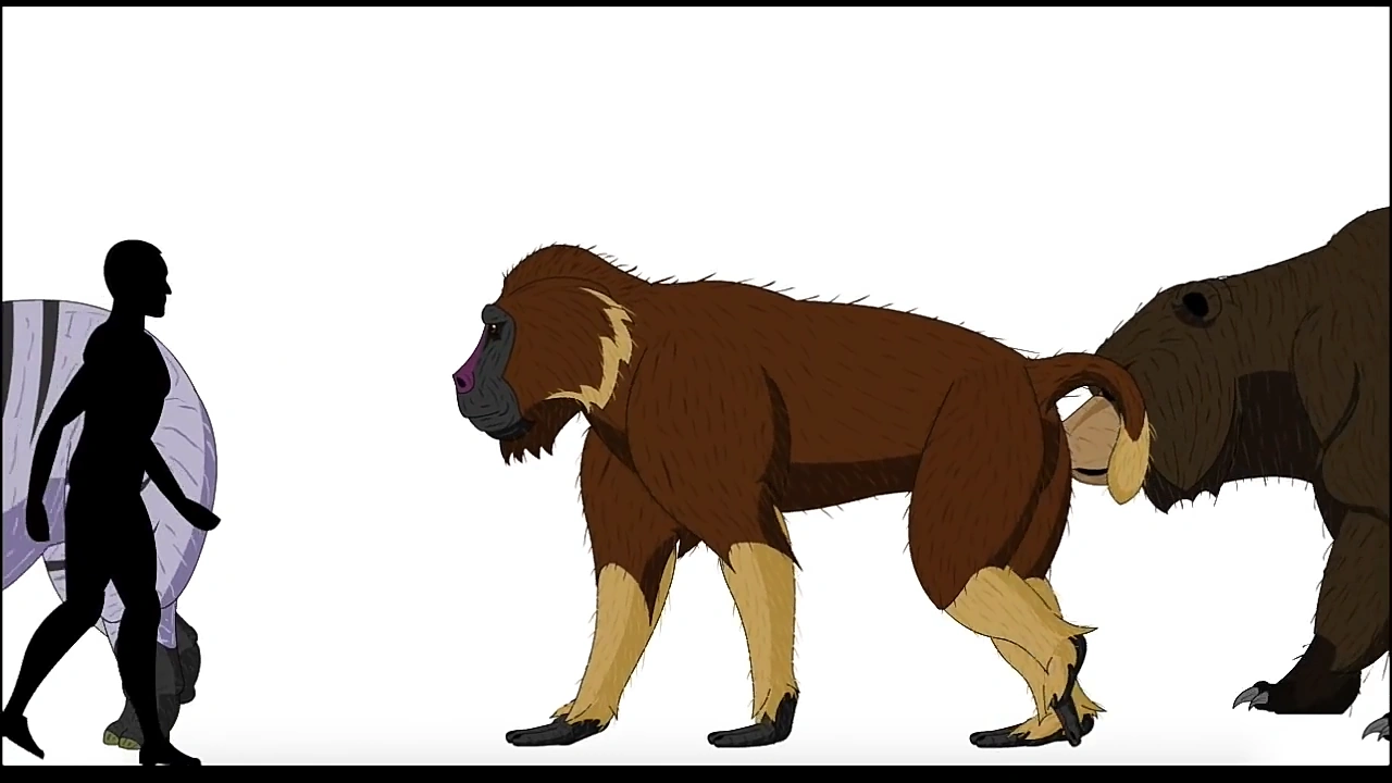 Dinopithicus | Fandom