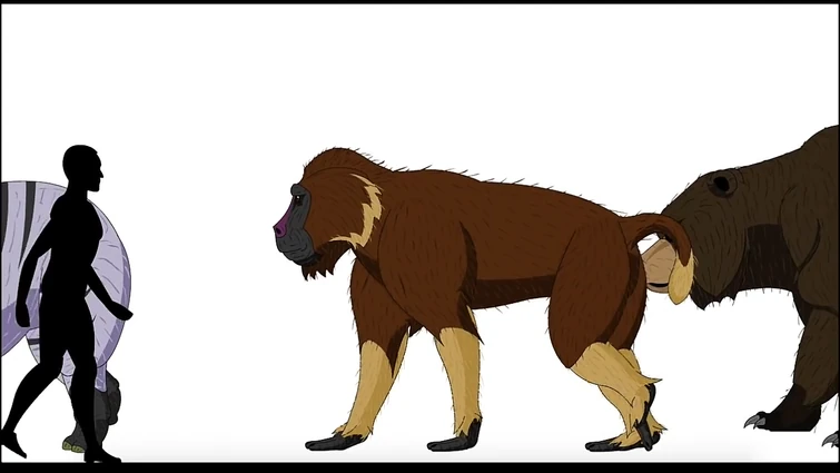 Dinopithicus | Fandom