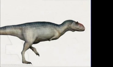 Discuss Everything About Dinopedia | Fandom