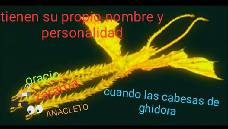 meme credo por mi | Fandom