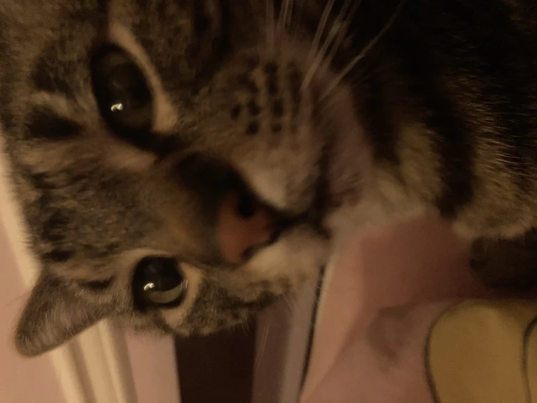 THE MOST DRAMATIC SIGH | Fandom