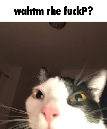 Discuss Everything About Minus Elevation Wiki | Fandom