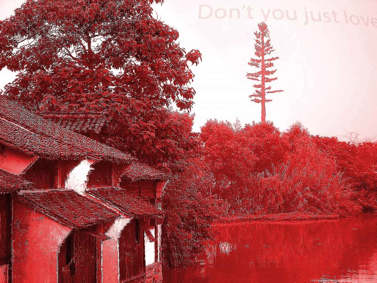 Weirdcore image I created | Fandom