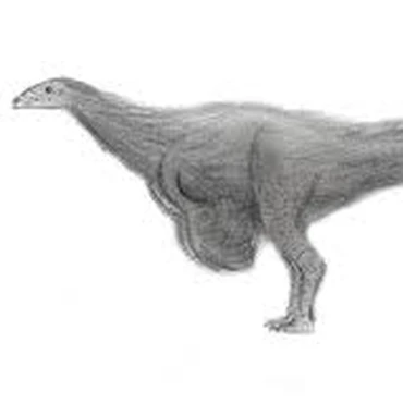 Discuss Everything About Dinopedia | Fandom