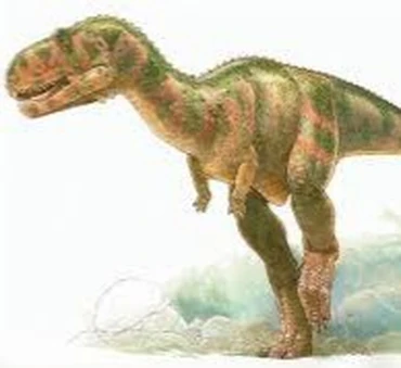 Discuss Everything About Dinopedia | Fandom