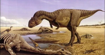 Discuss Everything About Dinopedia | Fandom