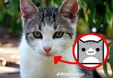 Best GD Reference? | Fandom