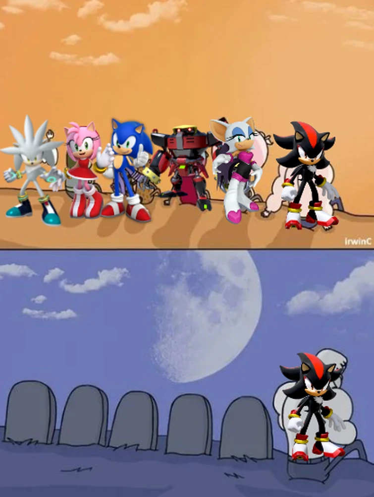 Shadow the Hedgehog meme (sorry about the poor quality) | Fandom