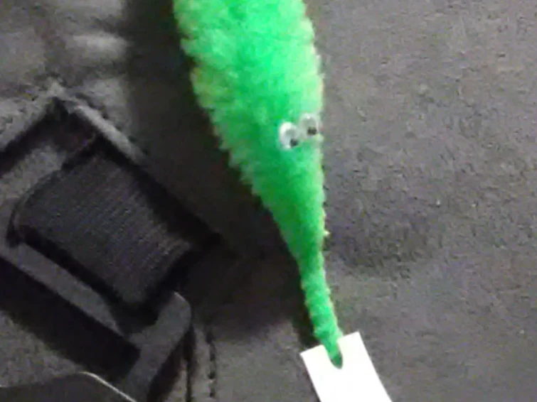 His name's Sturbi and he's a green Idiot🔥🔥🔥🔥🔥🔥🔥 | Fandom