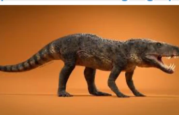 Discuss Everything About Dinopedia | Fandom