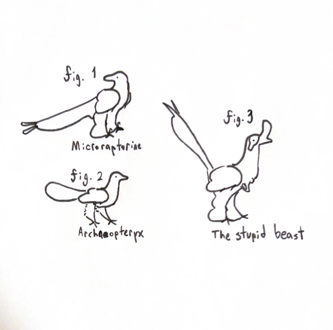 Since the cos ecology thing got cancelled I may as well share my art ...