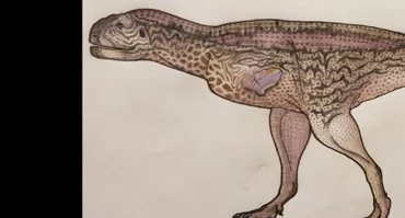 Discuss Everything About Dinopedia | Fandom