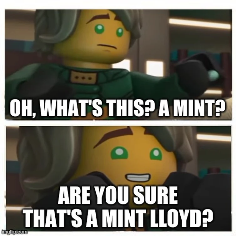 Lloyd meme | Fandom