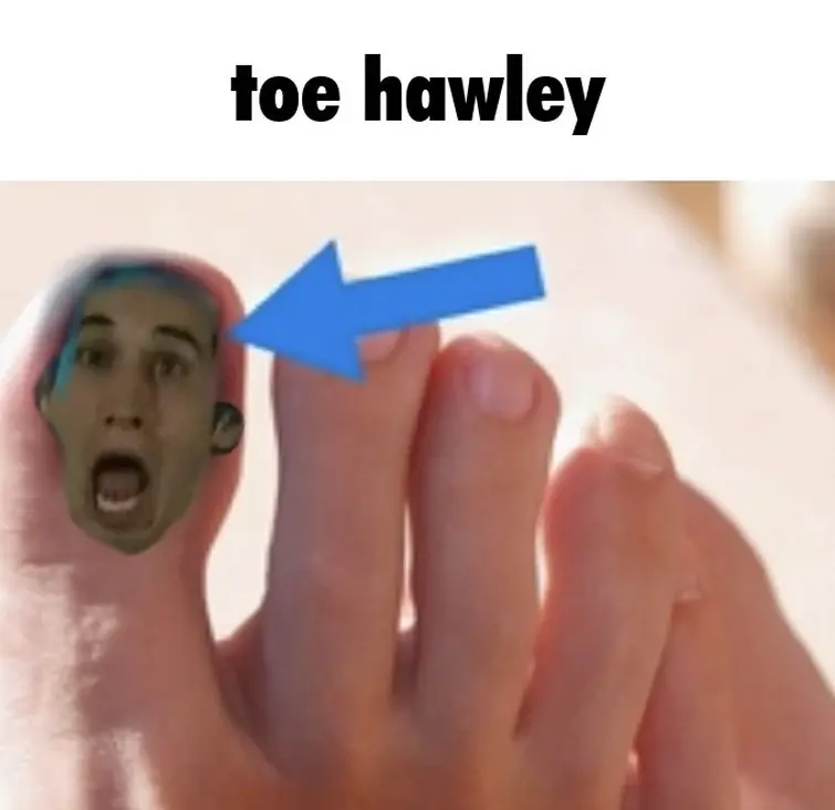 tally hall memes because i have nothing else to do | Fandom