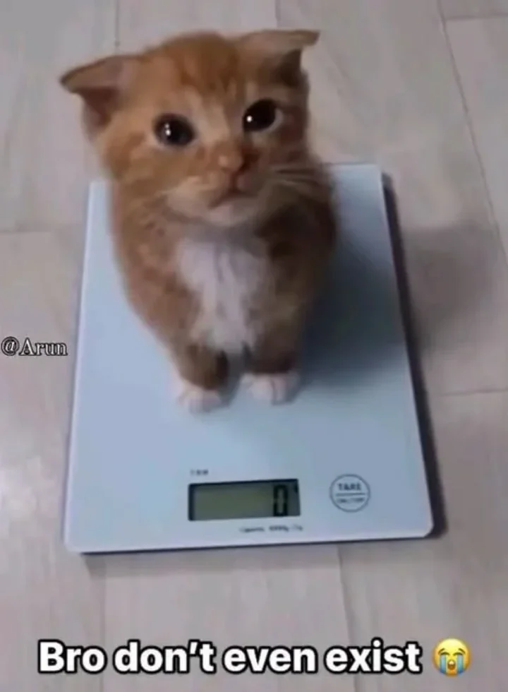 Bro is legit non-existent 😭😭😭😭 | Fandom