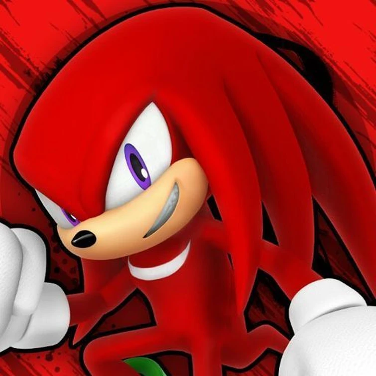 ¡Les presento la colección completa de perfiles de Sonic, 15 en total ...