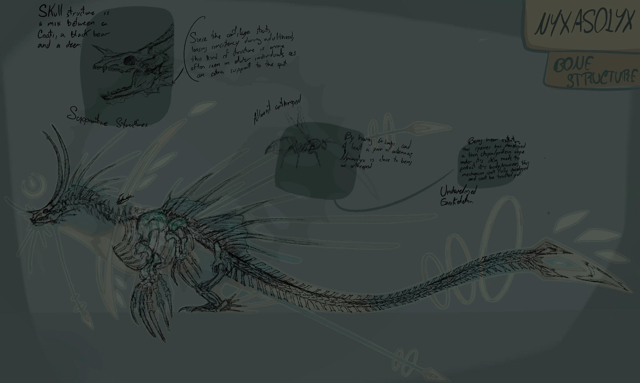 Anatomy study pt4 - Nyxasolyx | Fandom