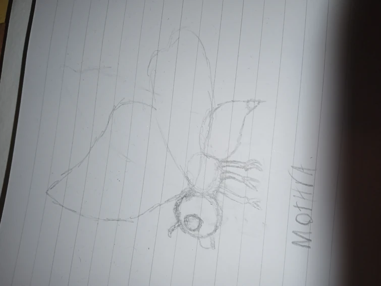 Minor new details | Fandom