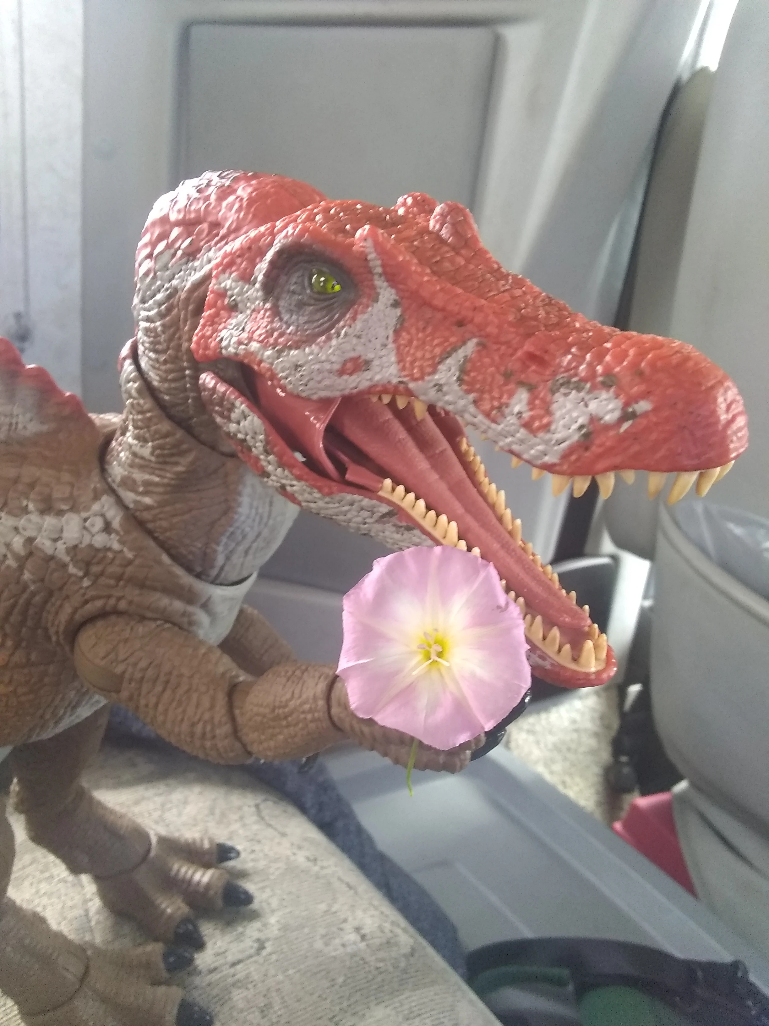 Cos species irl: Pt. 4 | Fandom