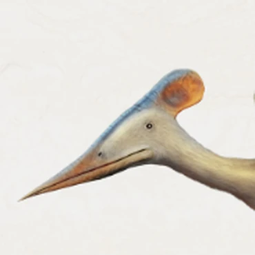 Discuss Everything About Dinopedia | Fandom