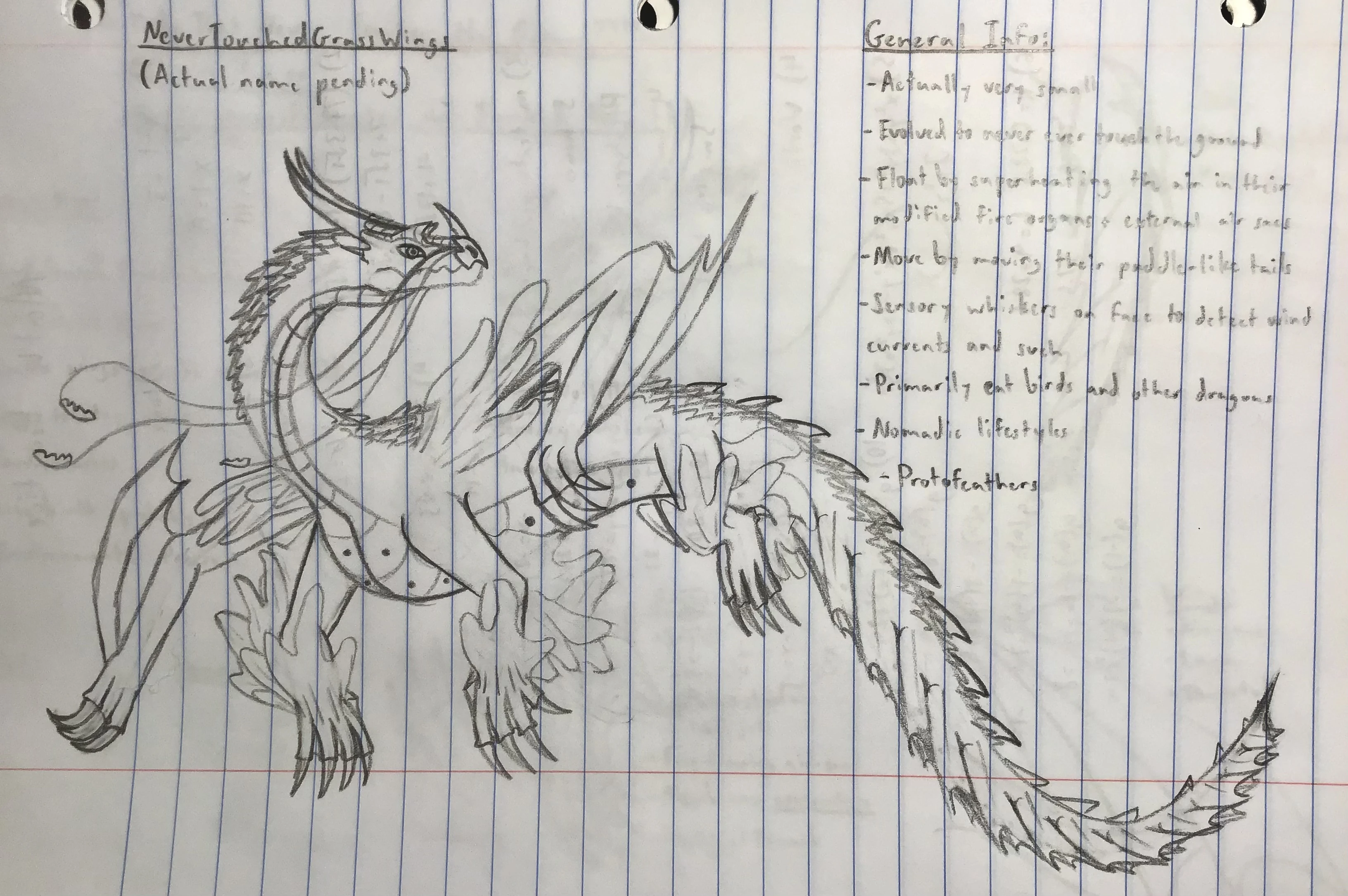 Dragons Who Never Touch Grounds in their Lives (or ...
