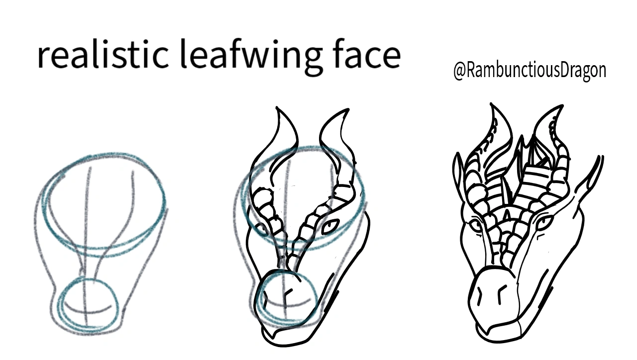 how to draw a realistic(JA) leafwing face | Fandom