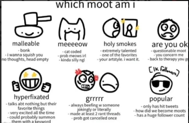 what even is a 'moot' what does it mean | Fandom