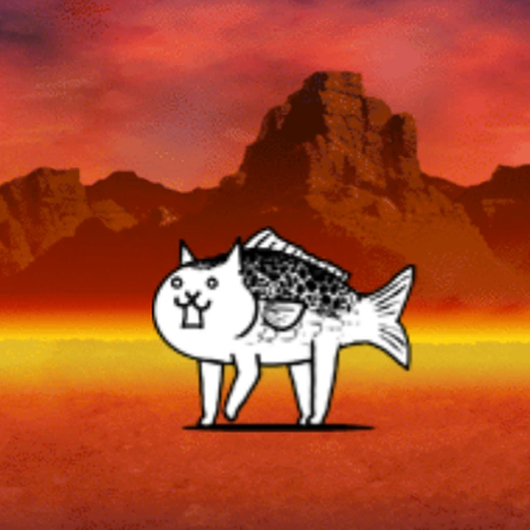 fish cat (filler post) | Fandom