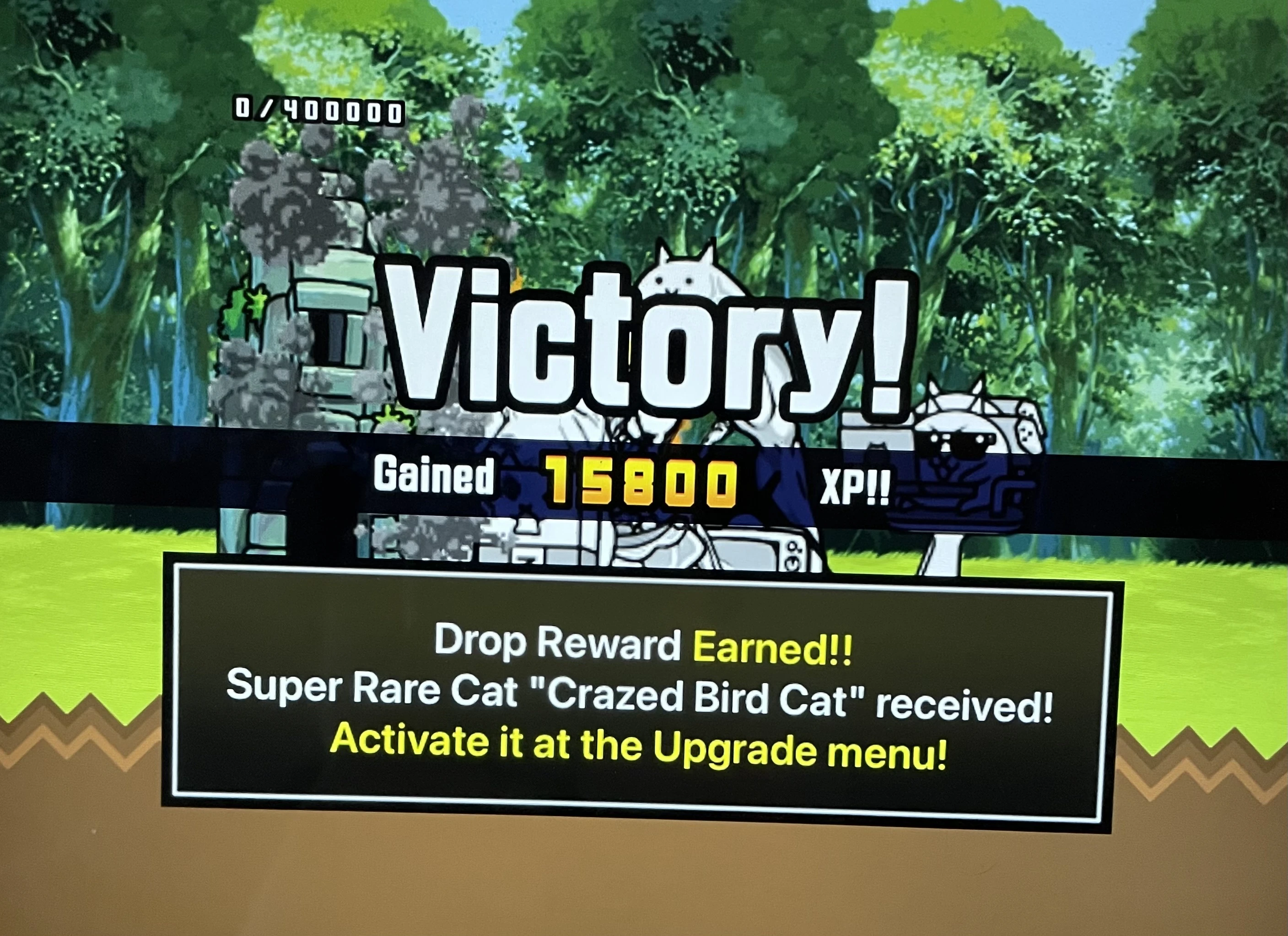 6th Crazed Cat | Fandom