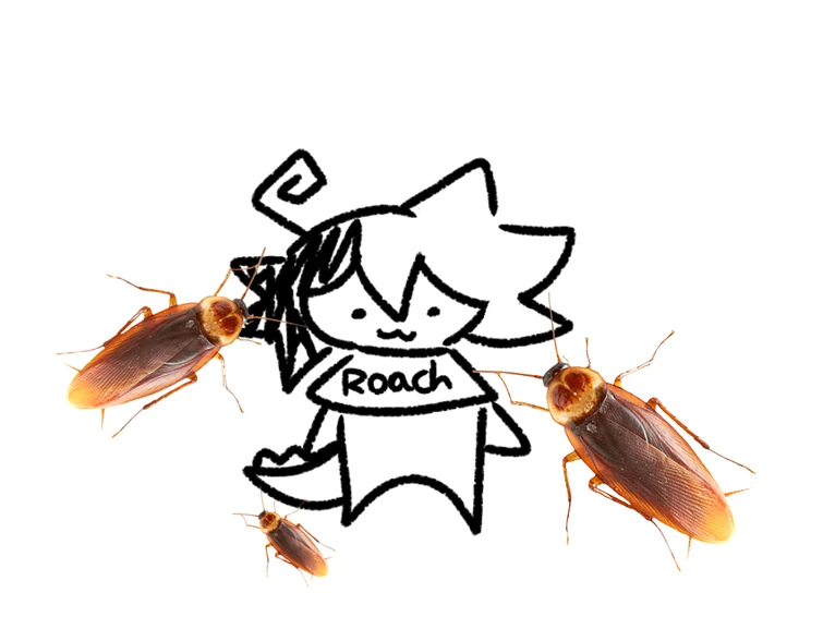 Goodbye Roach-infested Hotel!! | Fandom