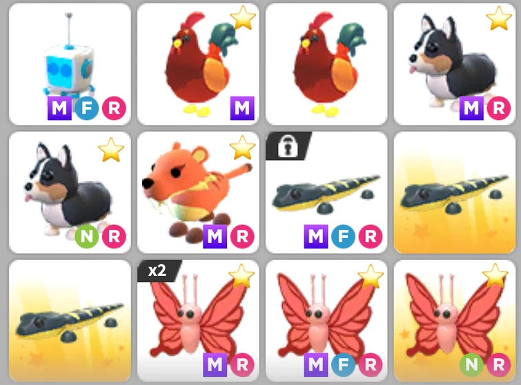 Discuss Everything About Adopt Me! Wiki | Fandom