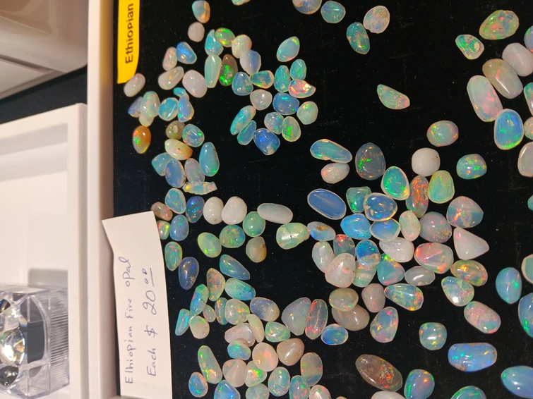 Discuss Everything About Catch! Teenieping Wiki | Fandom